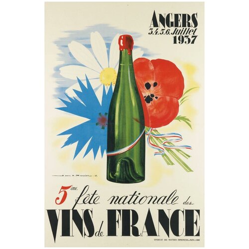 Постер / Плакат / Картина Рекламный плакат - Вино Vins de France 50х70 см в подарочном тубусе
