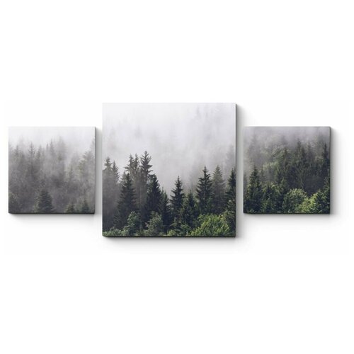 Модульная картина Лес в тумане130x56