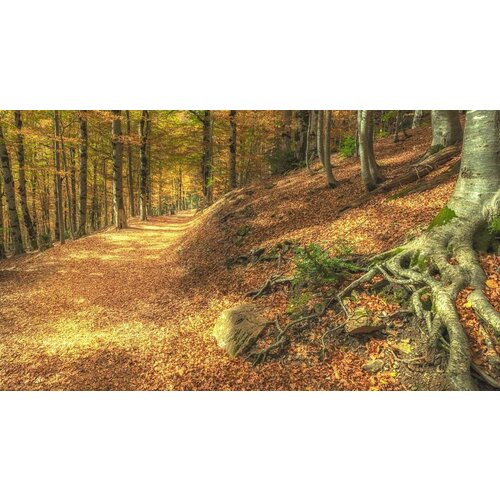 Картина на холсте 60x110 Альянс Лес "Осень природа дорога парк" на подрамнике / интерьер/ декор