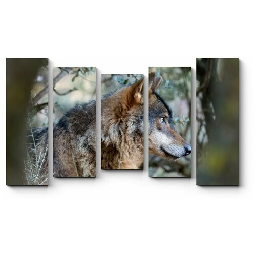 Модульная картина Волк спрятался между деревьями 180x108