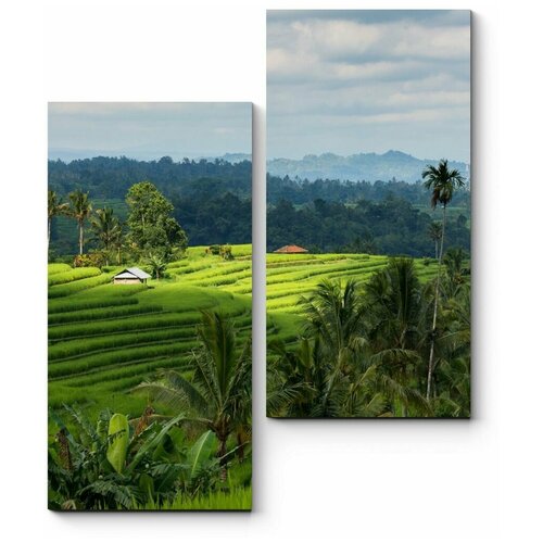 Модульная картина Бали, рисовые поля 60x75