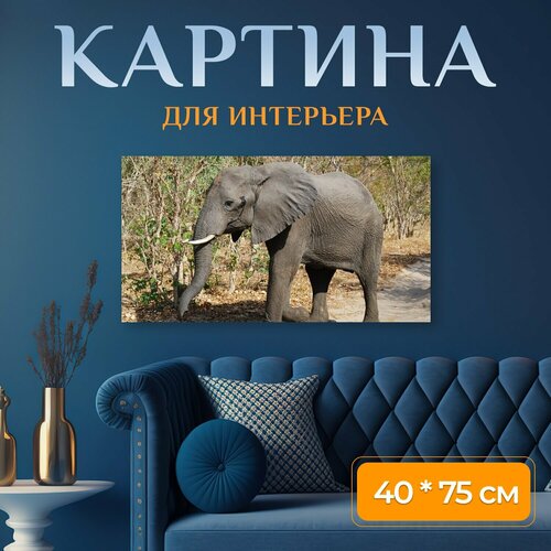 Картина на холсте "Слон, африка, ботсвана" на подрамнике 75х40 см. для интерьера