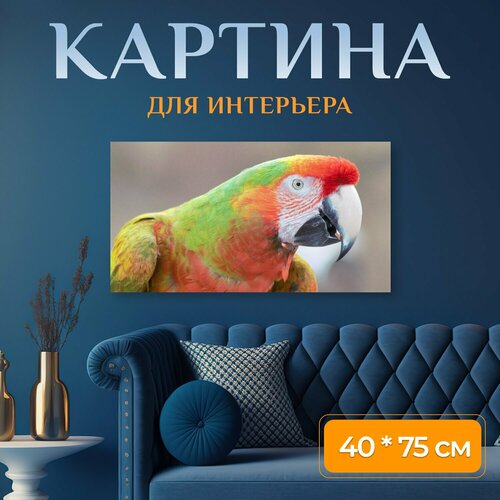 Картина на холсте "Птица, ара, попугай" на подрамнике 75х40 см. для интерьера