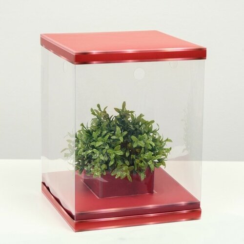 UPAK LAND Коробка для цветов с вазой и PVC окнами складная, красный, 23 х 30 х 23 см