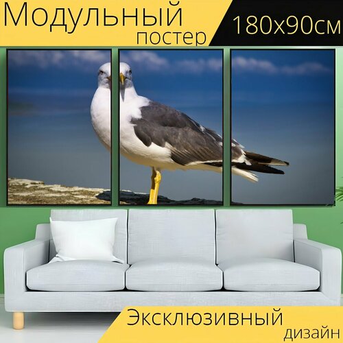 Модульный постер "Птица, чайка, животное" 180 x 90 см. для интерьера