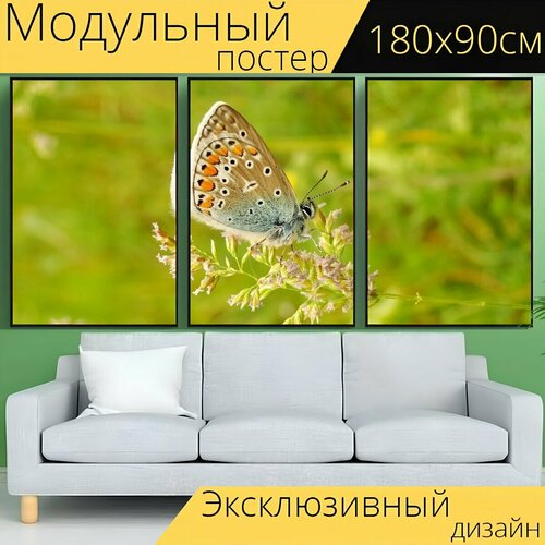 Модульный постер "Животное, насекомое, бабочка" 180 x 90 см. для интерьера