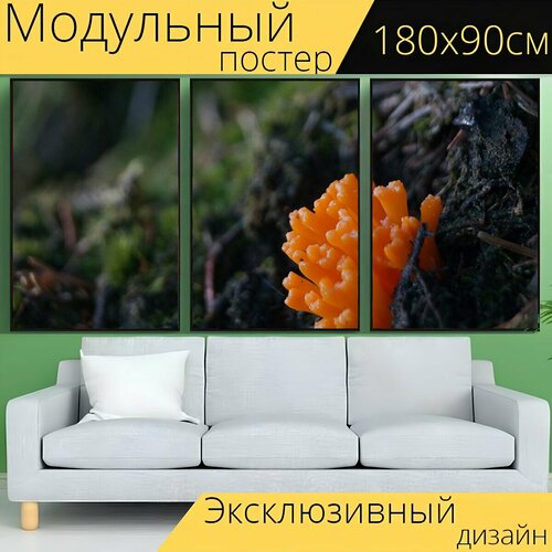 Модульный постер "Лесные грибы, апельсин, рост" 180 x 90 см. для интерьера