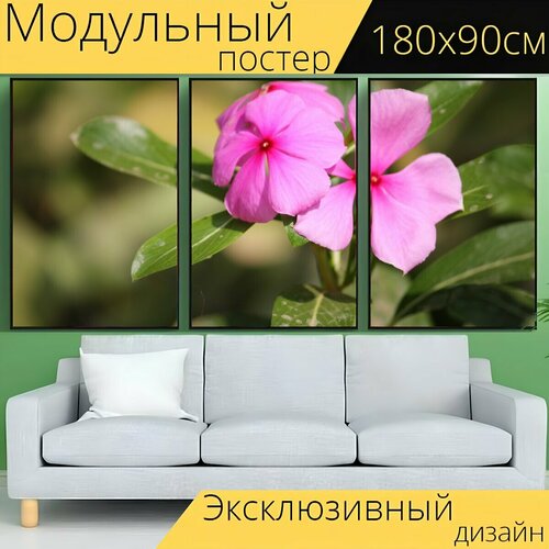 Модульный постер "Цветы, розовые цветы, природа" 180 x 90 см. для интерьера
