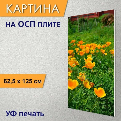 Вертикальная картина на ОСП "Маки, цветы, полевые цветы" 62x125 см. для интерьериа
