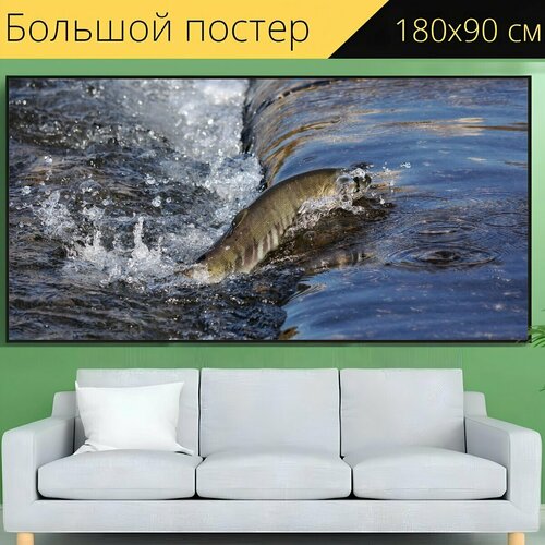 Большой постер "Животное, река, вода" 180 x 90 см. для интерьера
