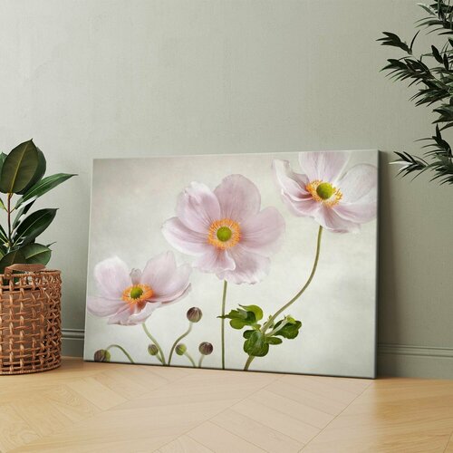 Картина на холсте (Анемоны - нежные цветы) 50x70 см. Интерьерная, на стену.