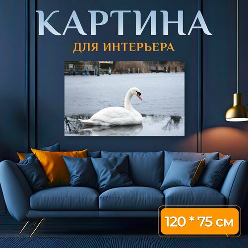 Картина на холсте "Лебедь, птица, озеро" на подрамнике 120х75 см. для интерьера