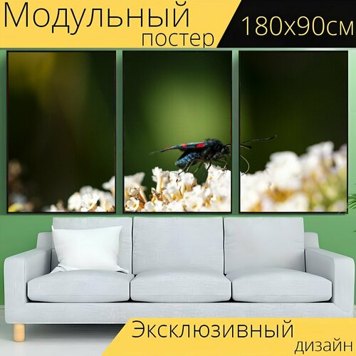 Модульный постер "Бабочка, насекомое, цветы" 180 x 90 см. для интерьера