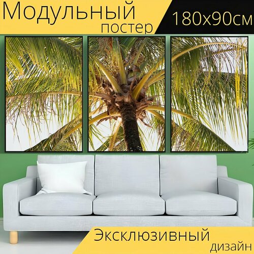 Модульный постер "Пальма, тропический, дерево" 180 x 90 см. для интерьера
