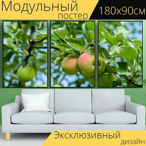 Модульный постер "Сад, яблоня, урожай" 180 x 90 см. для интерьера