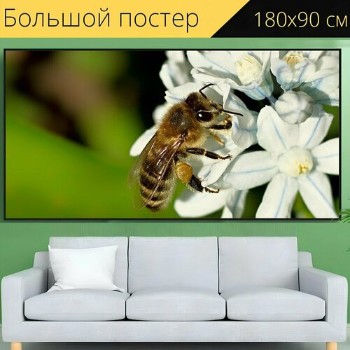 Большой постер "Цветы, пчела, цветочная пыльца" 180 x 90 см. для интерьера