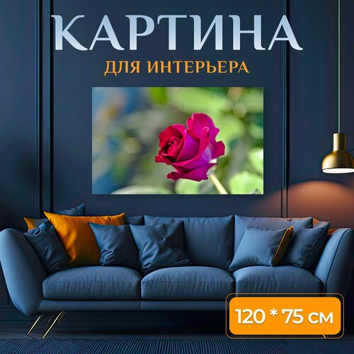 Картина на холсте "Роза, цветок, сад" на подрамнике 120х75 см. для интерьера