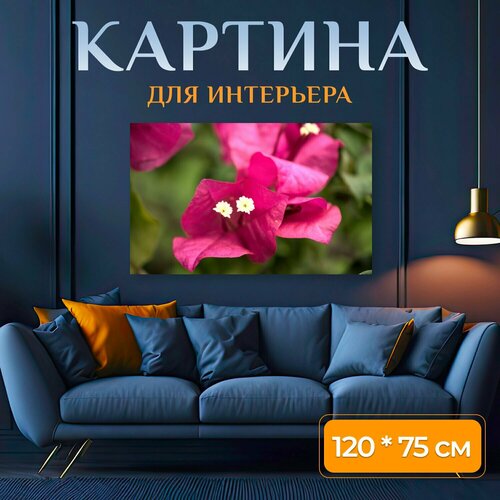 Картина на холсте "Бугенвиллия, цветы, завод" на подрамнике 120х75 см. для интерьера