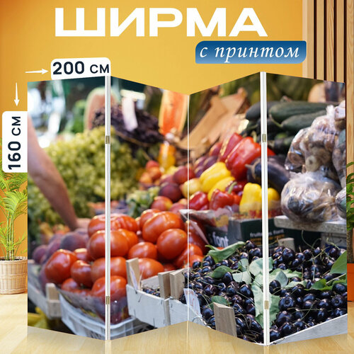 Ширма перегородка с принтом "Овощи, рынок, фрукты" на холсте - 200x160 см. для зонирования, раскладная