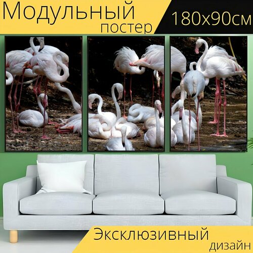 Модульный постер "Фламинго, дикая природа, птицы" 180 x 90 см. для интерьера