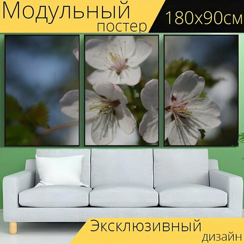 Модульный постер "Сакура, цвести, весна" 180 x 90 см. для интерьера
