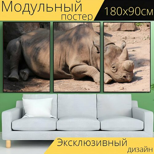 Модульный постер "Носорог, черный носорог, африке" 180 x 90 см. для интерьера