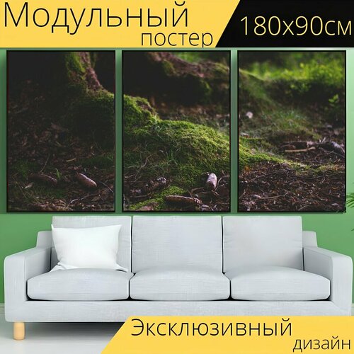 Модульный постер "Лес, деревянный пол, мох" 180 x 90 см. для интерьера