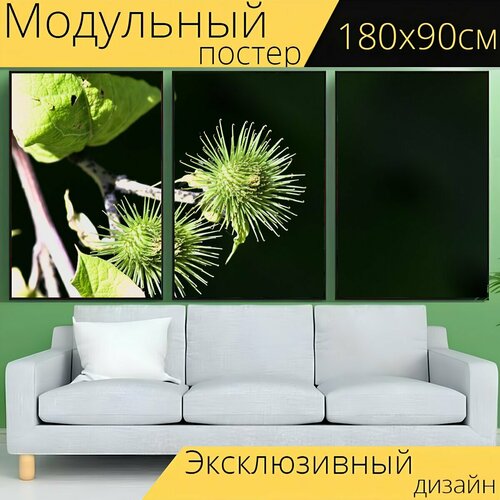 Модульный постер "Лопух, растения, природа" 180 x 90 см. для интерьера
