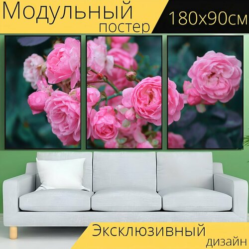 Модульный постер "Сад, цветы, роса" 180 x 90 см. для интерьера