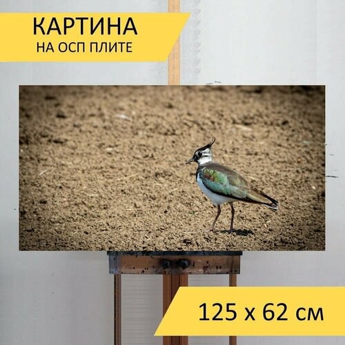 Картина на ОСП 125х62 см. "Кифит, птица, природа" горизонтальная, для интерьера, с креплениями
