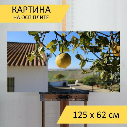 Картина на ОСП 125х62 см. "Пуэрто де санта мария, лимон, природа" горизонтальная, для интерьера, с креплениями