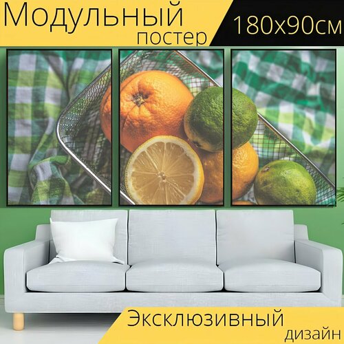 Модульный постер "Лимон, лайм, апельсин" 180 x 90 см. для интерьера