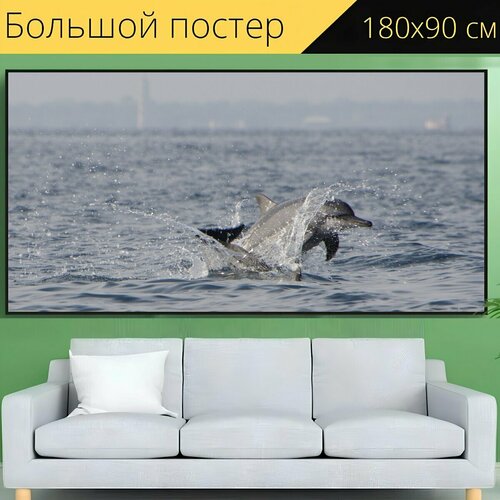 Большой постер "Дельфины, дельфин, прыжок" 180 x 90 см. для интерьера