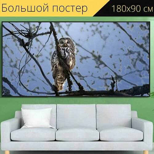 Большой постер "Уральская сова, птица, дерево" 180 x 90 см. для интерьера