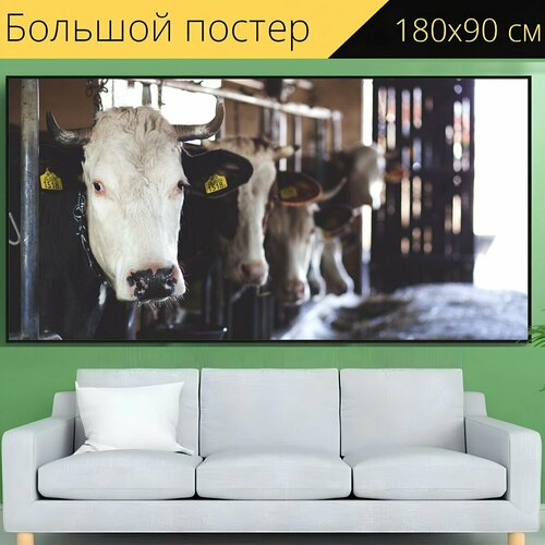 Большой постер "Коровы, животные, ферма" 180 x 90 см. для интерьера
