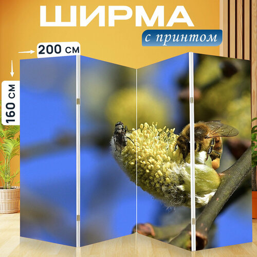 Ширма перегородка с принтом "Природа, весна, пчела" на холсте - 200x160 см. для зонирования, раскладная