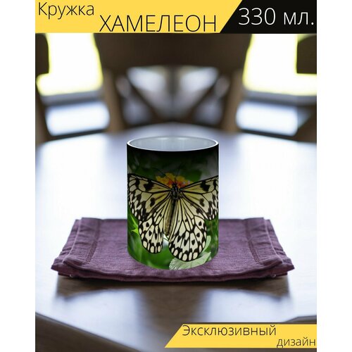 Кружка хамелеон с принтом "Бабочка, тропические бабочки, закрывать" 330 мл.