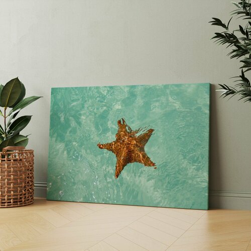Картина на холсте (морская звезда остров саона доминикана под водой) 30x40 см/для интерьера/в комнату/на стену/в подарок