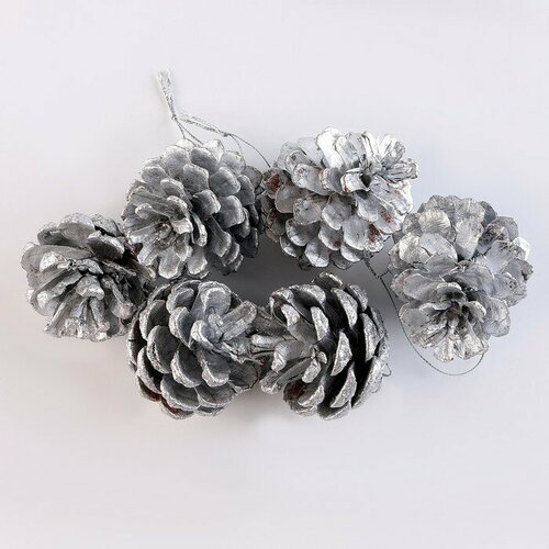 Набор декоративных шишек, 6 шт, в серебрянном цвете, 17,5 × 11,5 × 6 см