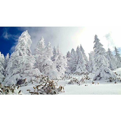 Картина на холсте 60x110 Альянс Лес "Зима лес снег небо природа" на подрамнике / интерьер/ декор