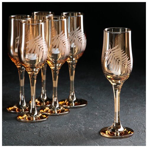 Набор бокалов для шампанского «Папоротник», 200 мл, 6 шт, цвет янтарный