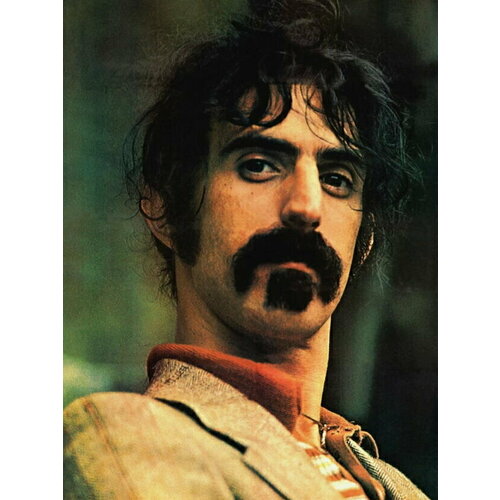 Плакат, постер на холсте Frank Zappa/Фрэнк Заппа/музыкальные/поп исполнитель/артист/поп-звезда/группа. Размер 42 х 60 см