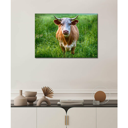 Картина -Корова, пастбище, корова пасется, корова на пастбище, бык (21) 20х30