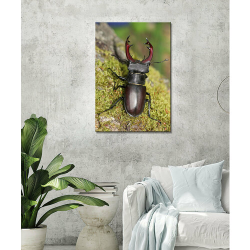 Картина - жук-олень, жук, жук с рогами, крупный жук, природа, макро (8) 30х40