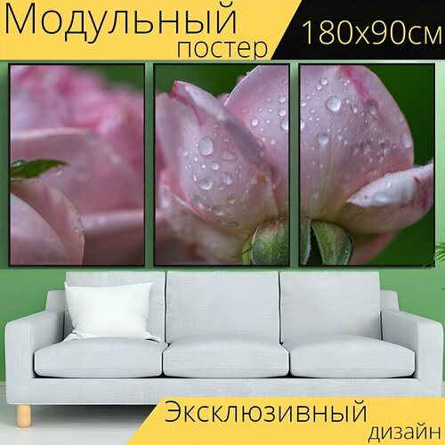 Модульный постер "Роза, цвести, цветок" 180 x 90 см. для интерьера