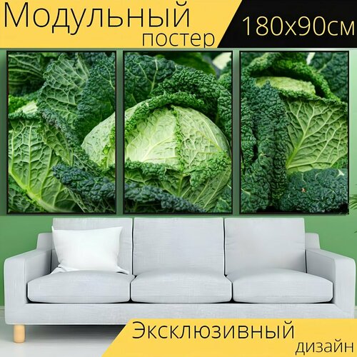 Модульный постер "Савой, капуста, овощи" 180 x 90 см. для интерьера