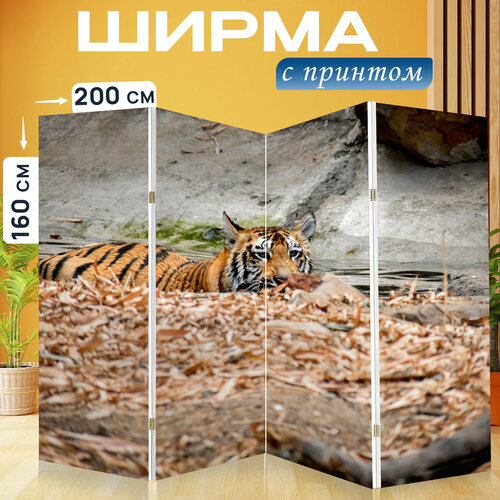 Ширма перегородка с принтом "Тигр, кошка, животное" на холсте - 200x160 см. для зонирования, раскладная