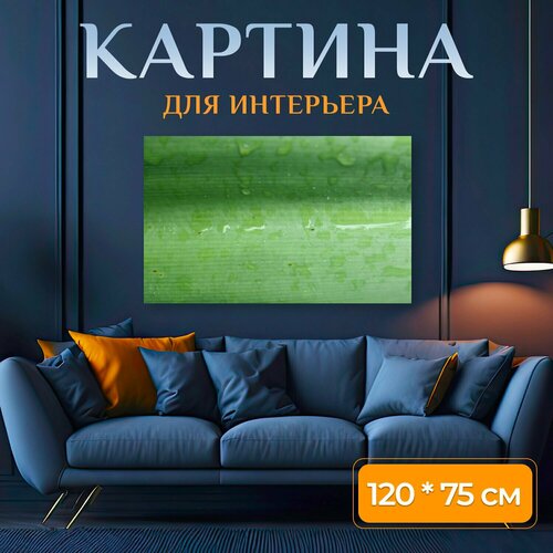 Картина на холсте "Листы, зеленый, природа" на подрамнике 120х75 см. для интерьера