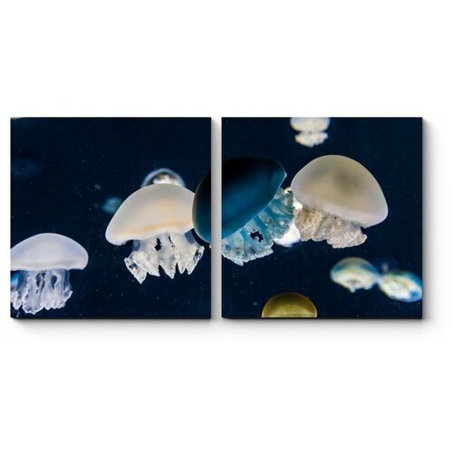 Модульная картина Красивые медузы150x75