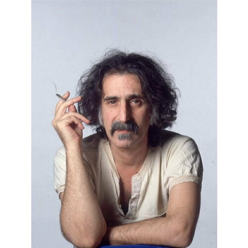 Плакат, постер на бумаге Frank Zappa/Фрэнк Заппа/музыкальные/поп исполнитель/артист/поп-звезда/группа. Размер 60 х 84 см
